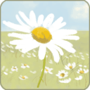 Daisypath - Free Wedding, Anniversary and Vacation tickers